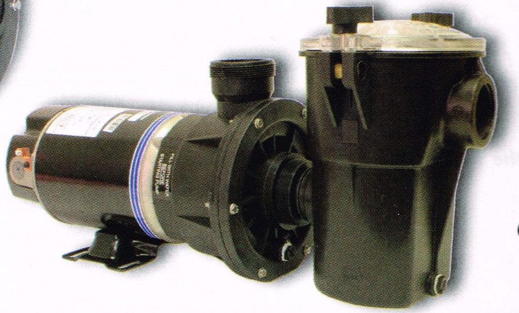 JS10CDS-2 New PPC Two-Speed Pump, 1HP, 115 VAC - SRVC Electric Motors